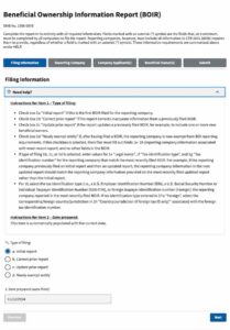 How to File a BOI Report: A Step-by-Step Guide - SDO CPA