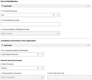 How to File a BOI Report: A Step-by-Step Guide - SDO CPA