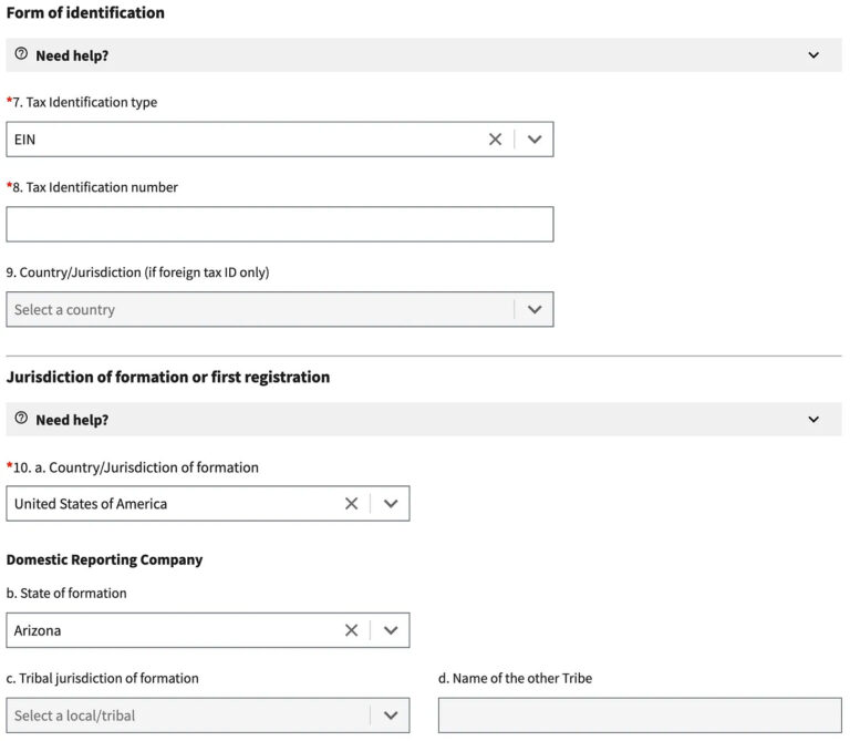 How to File a BOI Report: A Step-by-Step Guide - SDO CPA